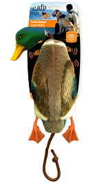 Eend